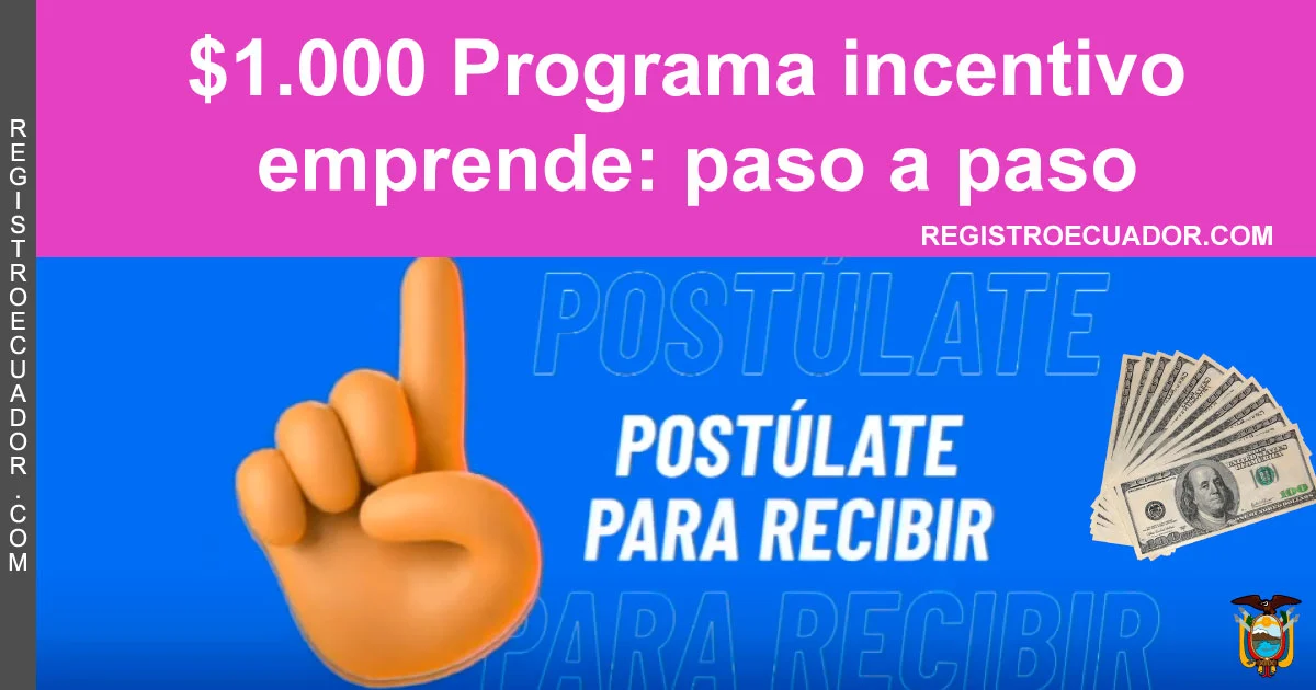$1.000 Programa incentivo emprende: paso a paso